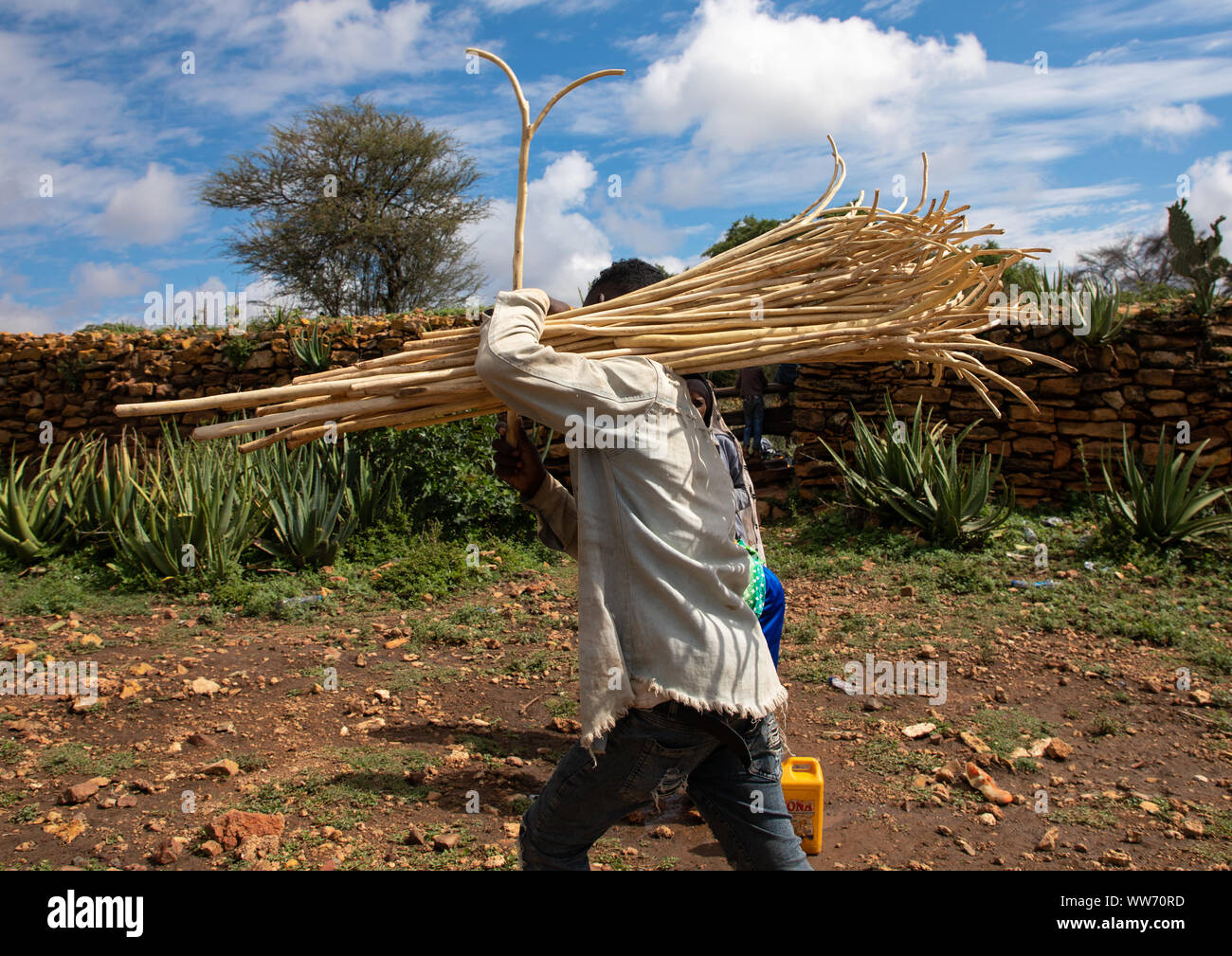 Oromo man carrying forked sticks called oulle for the pilgrims, Oromia ...