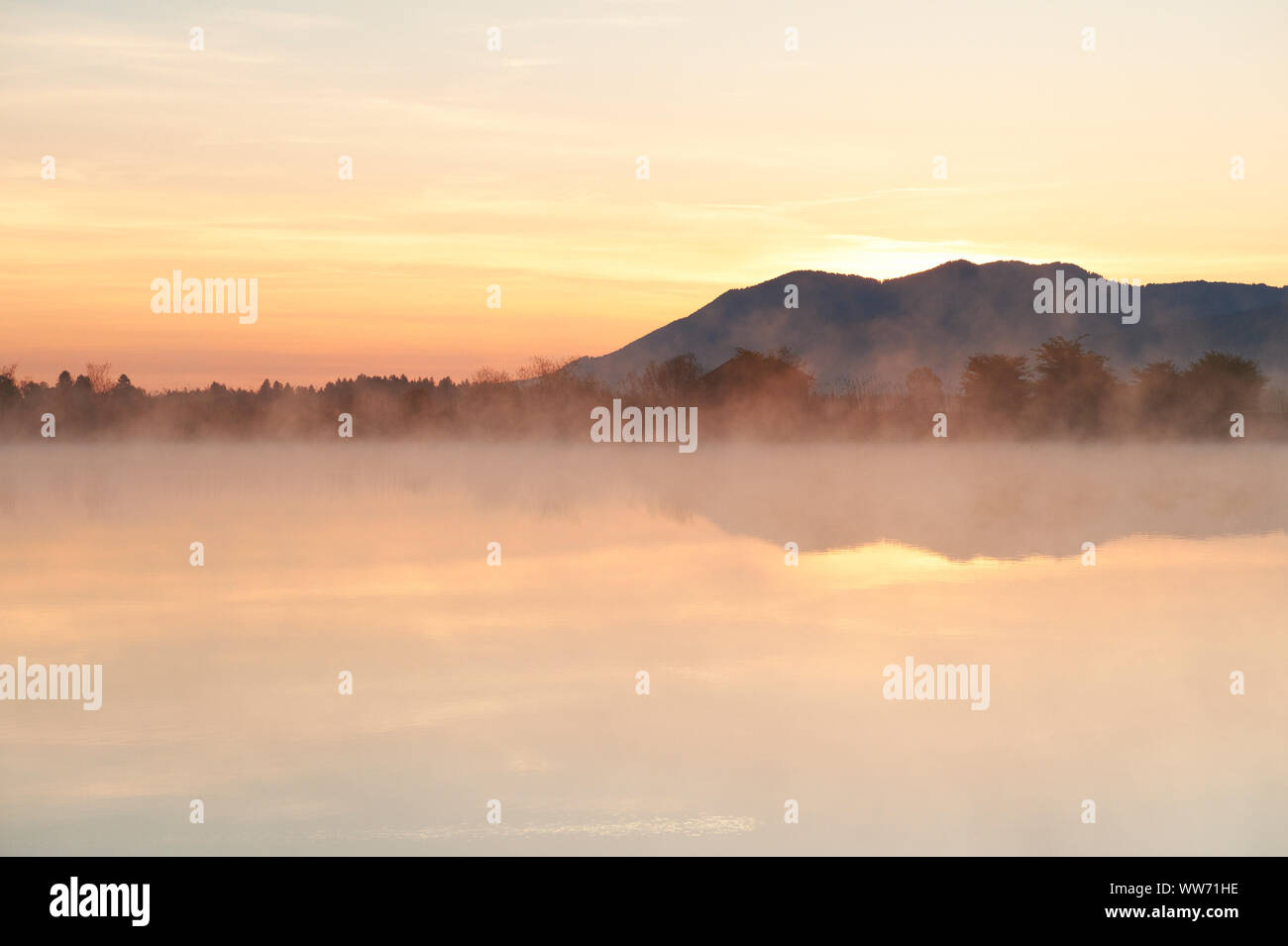 Morning mood with rising fog on Lake Eichsee Stock Photo - Alamy