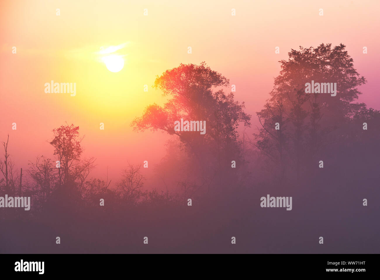 Rising early hi-res stock photography and images - Alamy