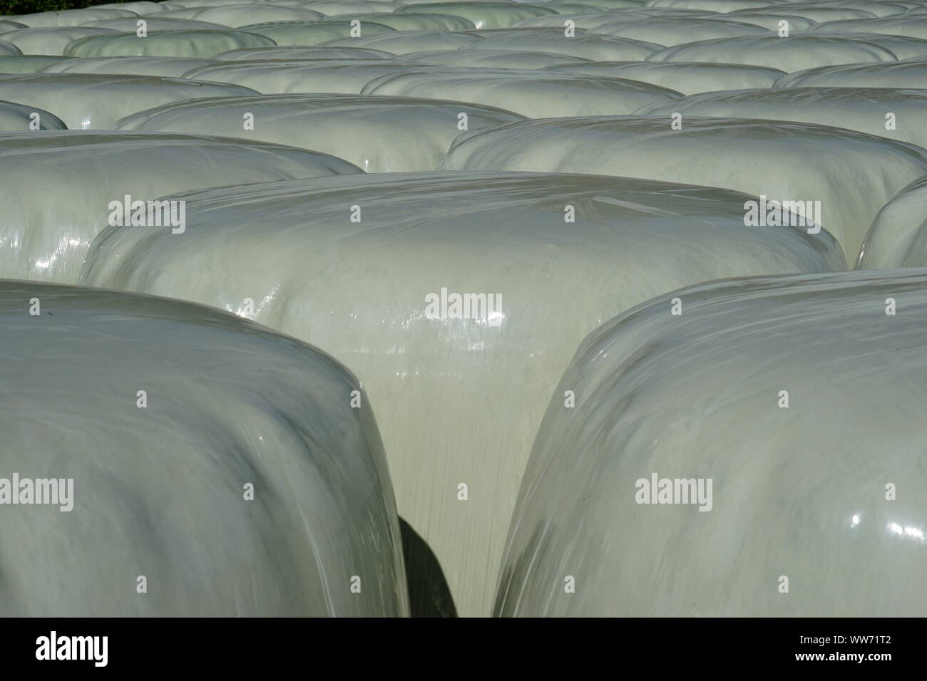 Grassilage, Silieren in Silageballen, Rhön, Hessen. Deutschland Stock ...