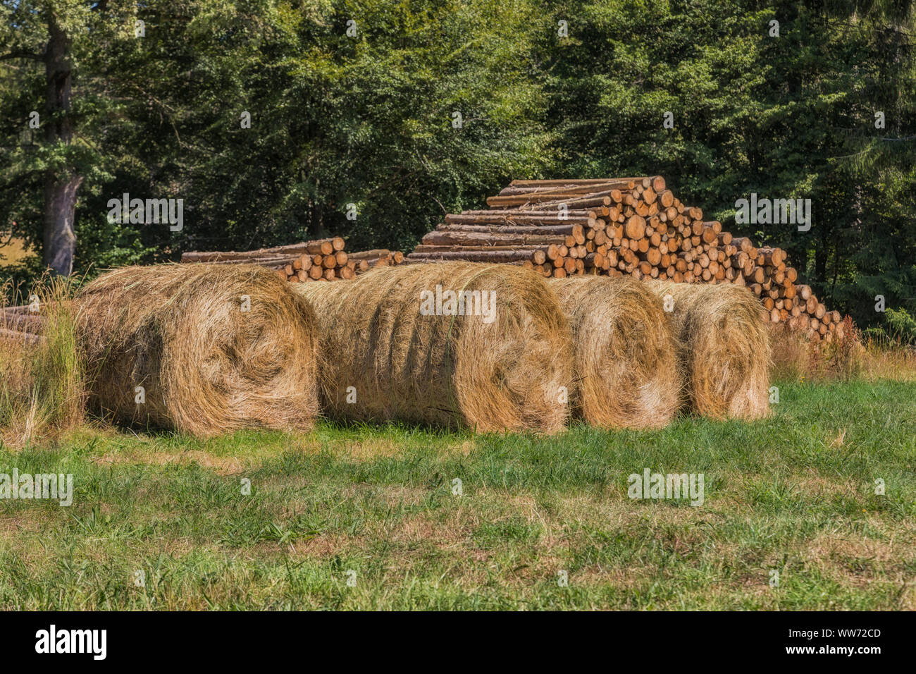 Timber bales hi-res stock photography and images - Alamy