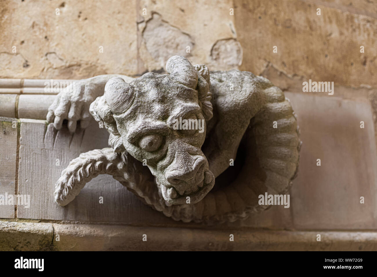 Lincoln cathedral gargoyle hi-res stock photography and images - Alamy