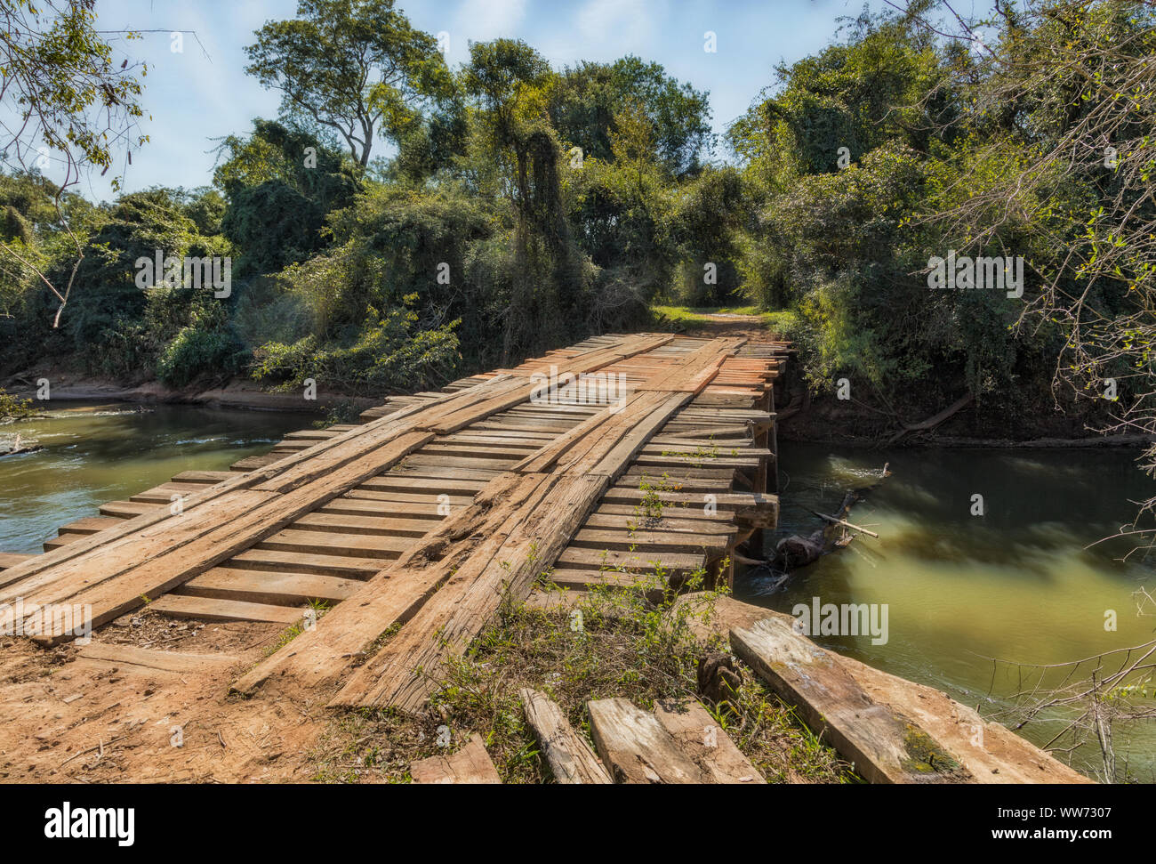 Old unsafe wooden bridge without railing in the wilderness of Paraguay ...