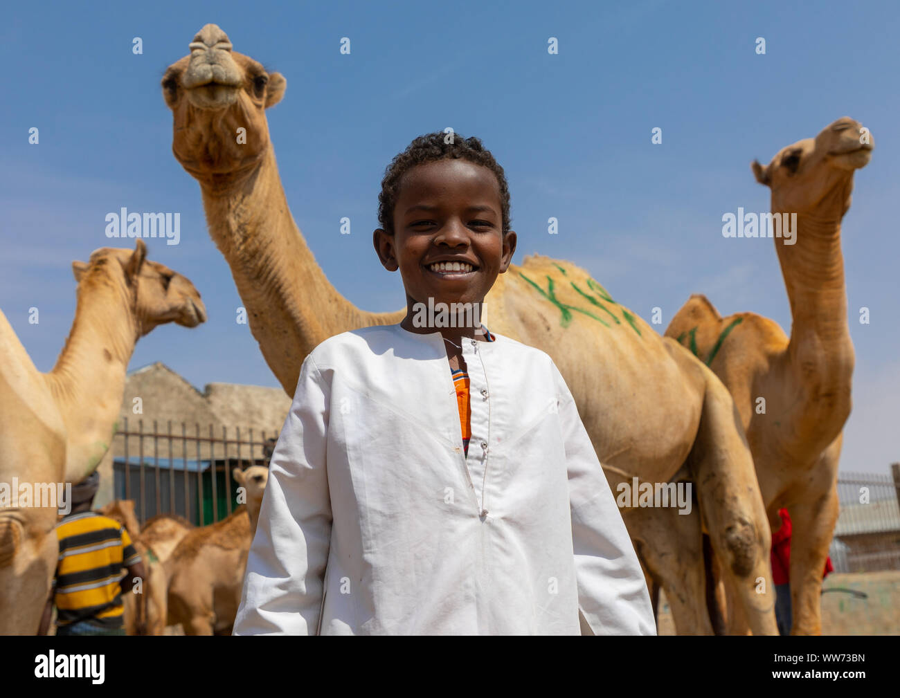 Somali boy in the camel market, Woqooyi Galbeed region, Hargeisa, Somaliland Stock Photo - Alamy