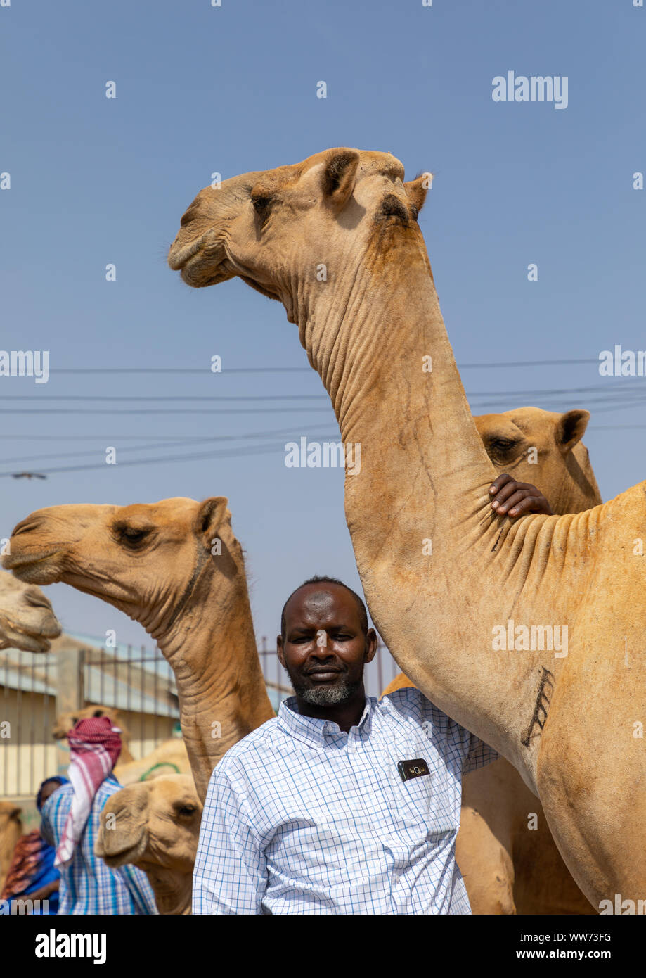 Somaliland Somalia Africa Horn Of Africa Vertical Hargeisa High ...