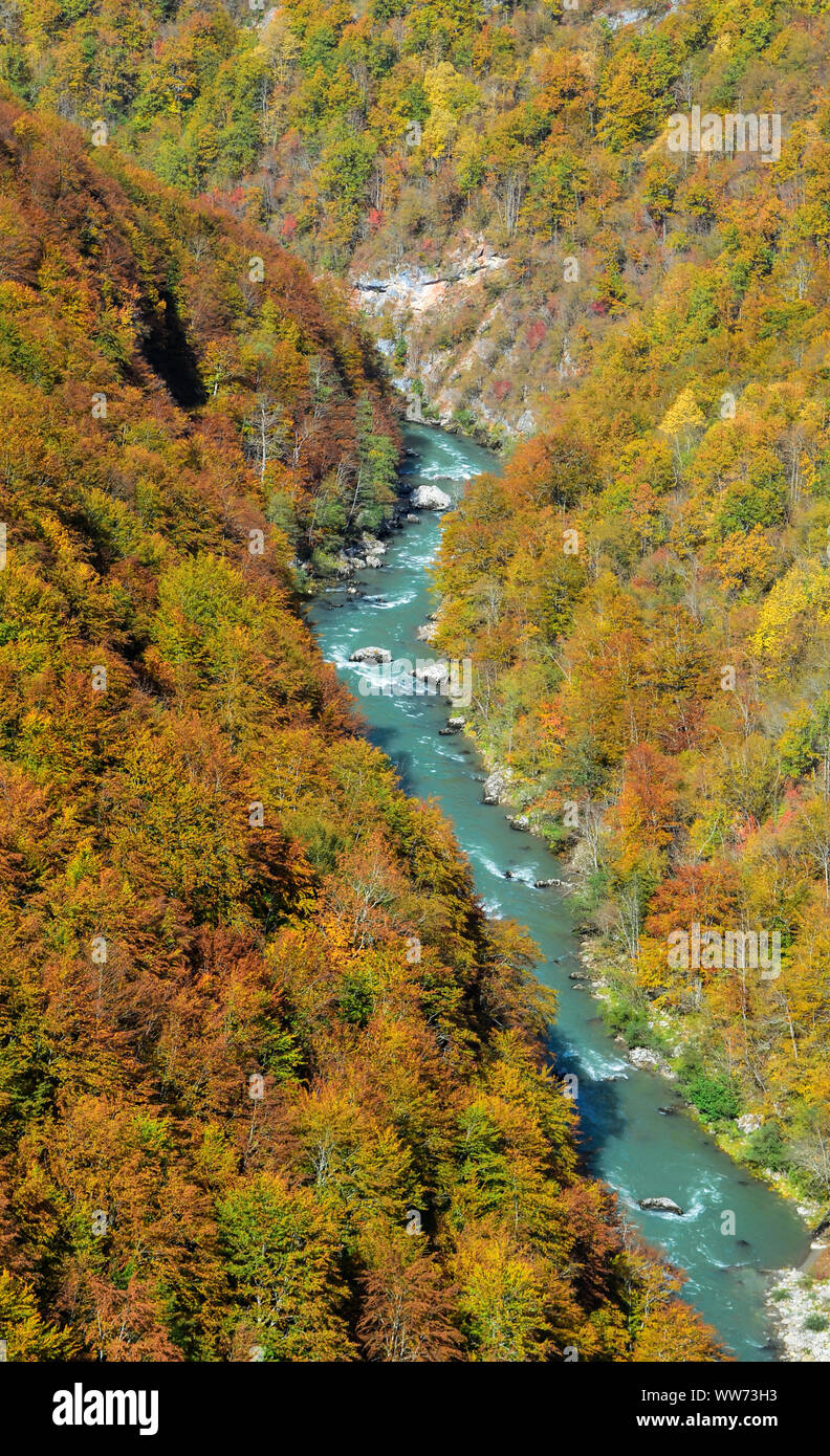 Tara river canyon hi-res stock photography and images - Alamy
