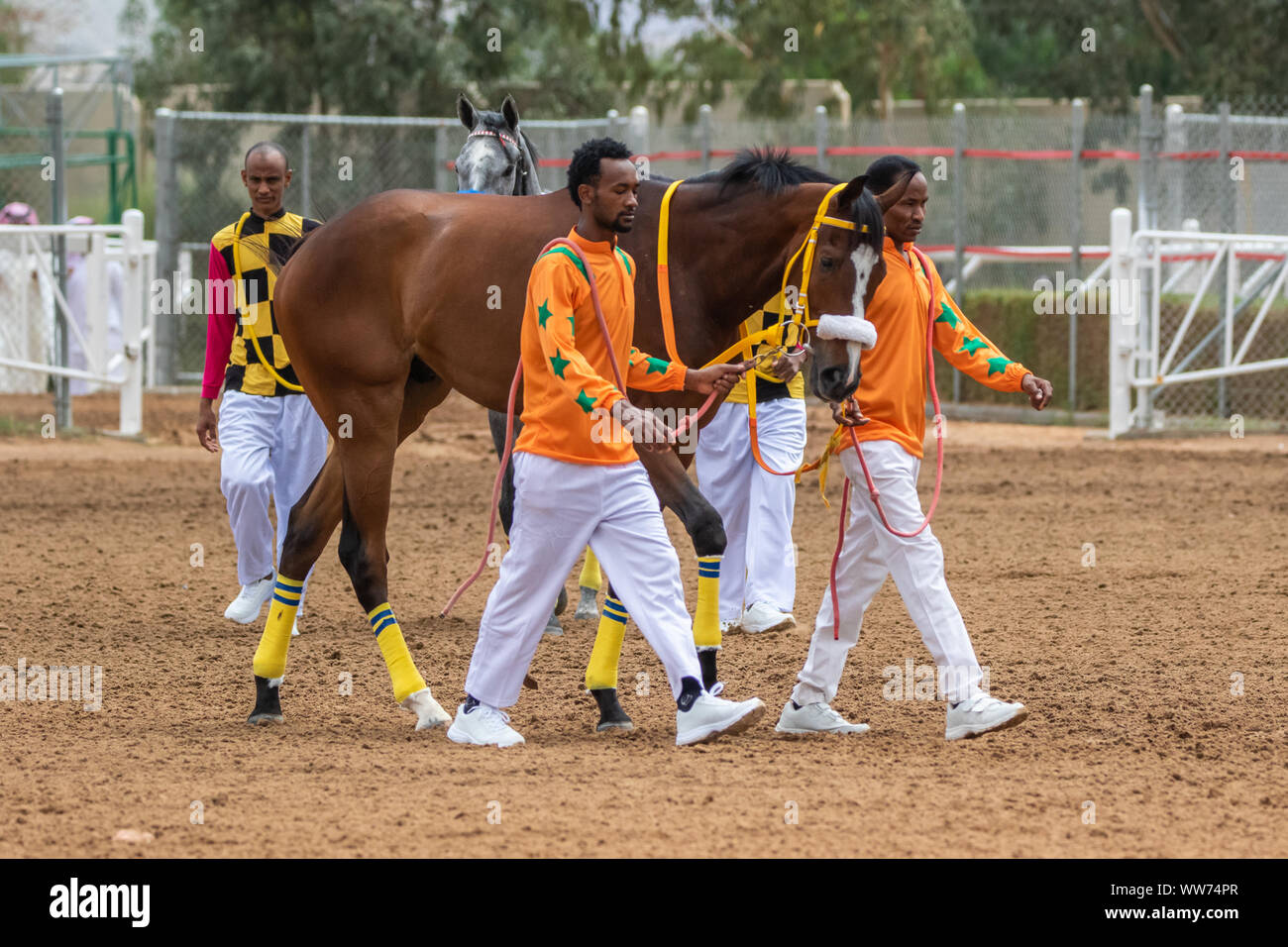 Horse racing at King Khlid Racetrack, Taif, Saudi Arabia 14/06/2019 ...