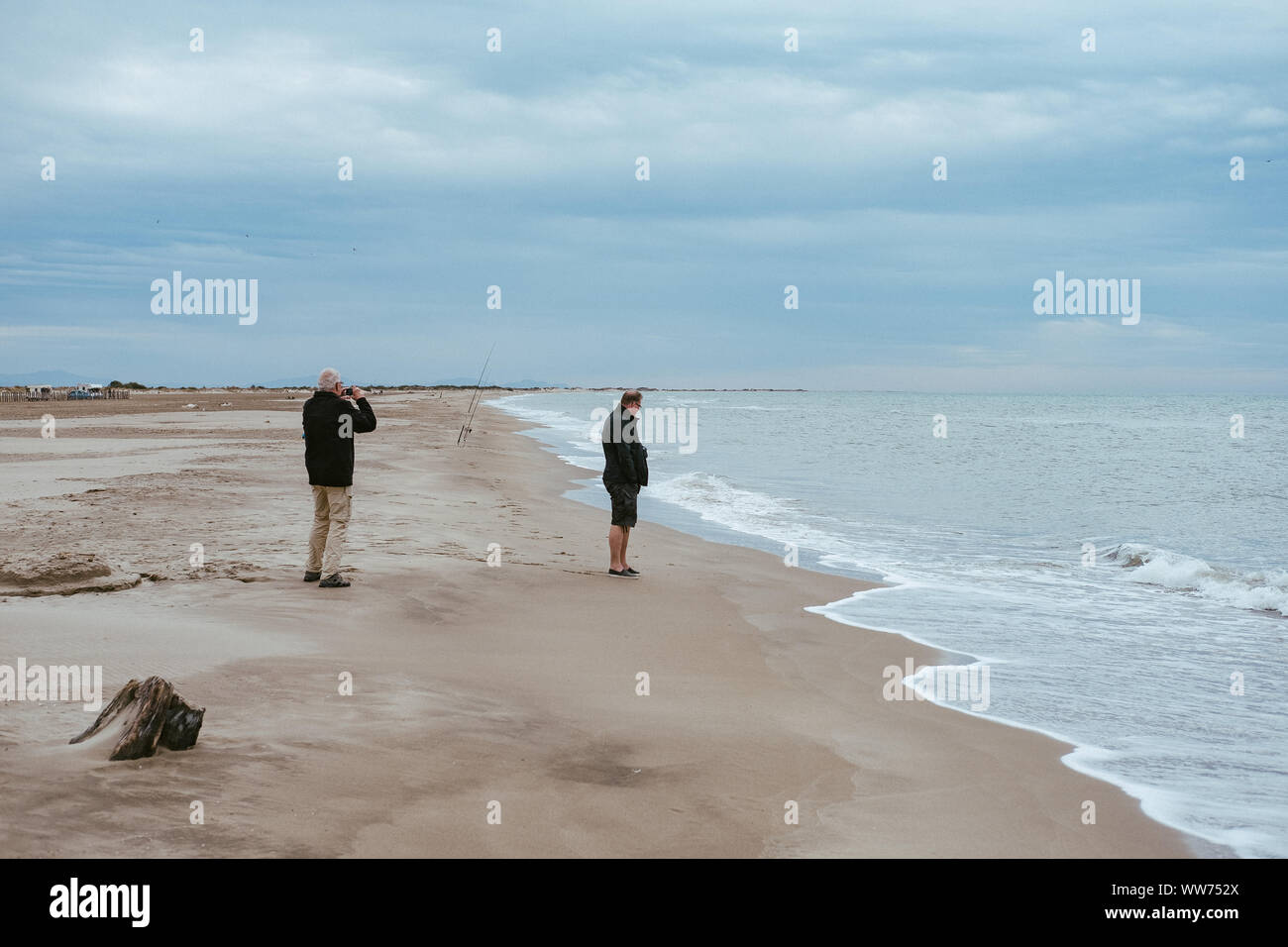 On a beach in the natural paradise Camargue in the south of France ...