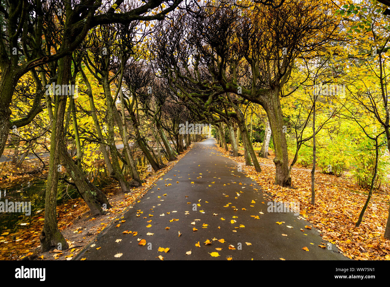 Gdansk oliwa park hi-res stock photography and images - Alamy