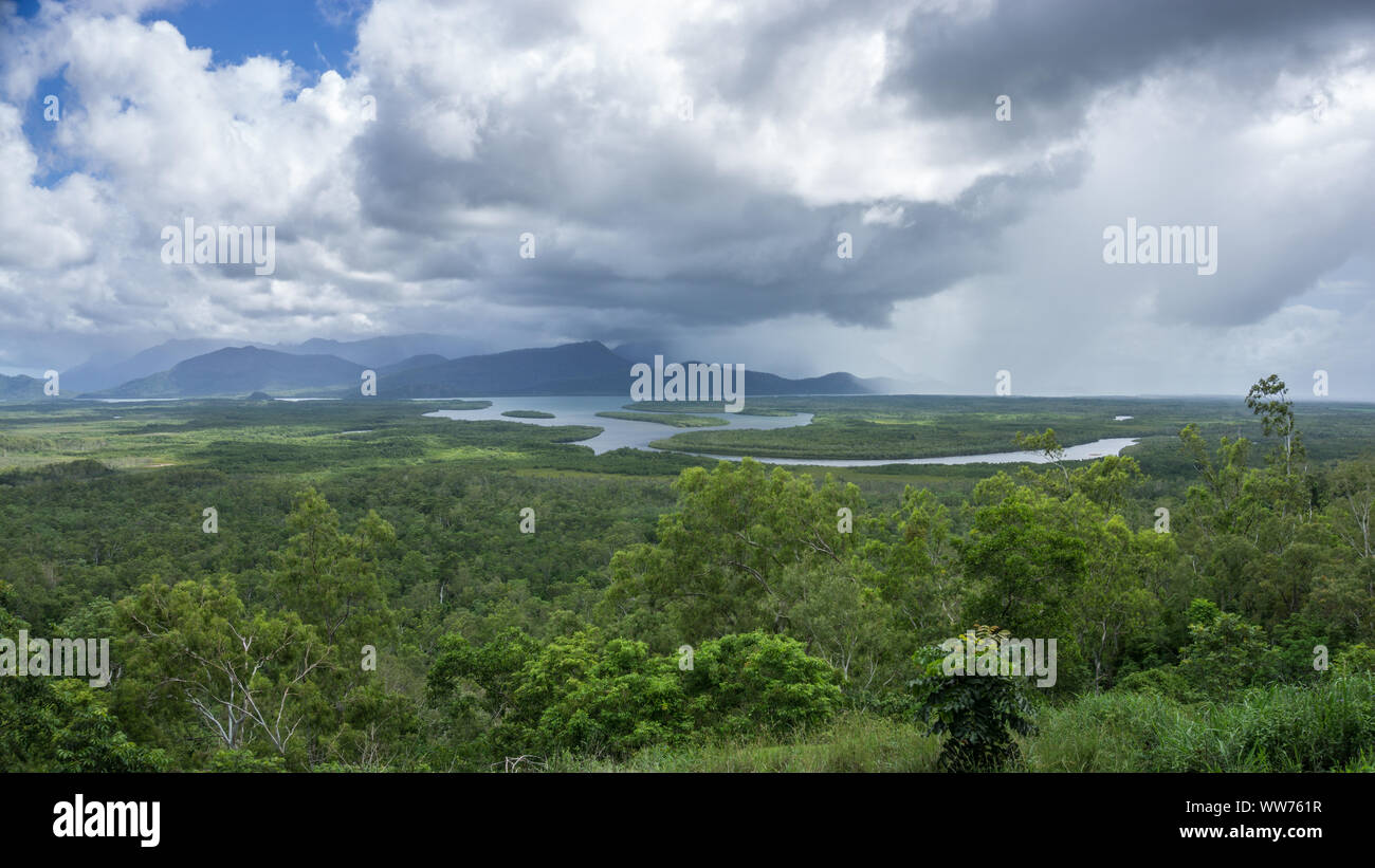 Australian jungle background hi-res stock photography and images - Alamy