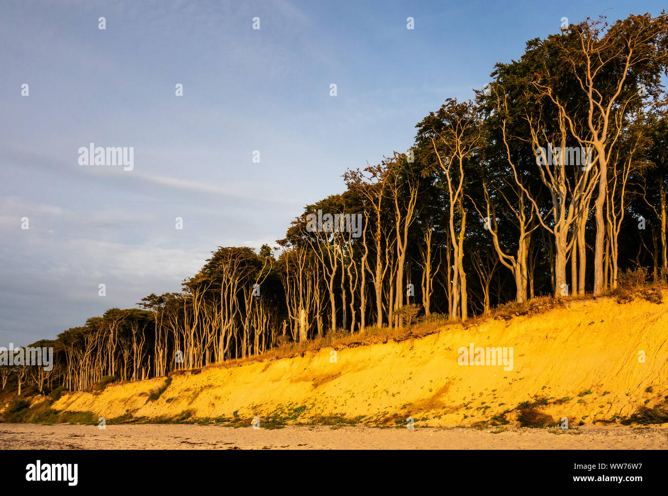 Nienhagen High Resolution Stock Photography and Images - Alamy