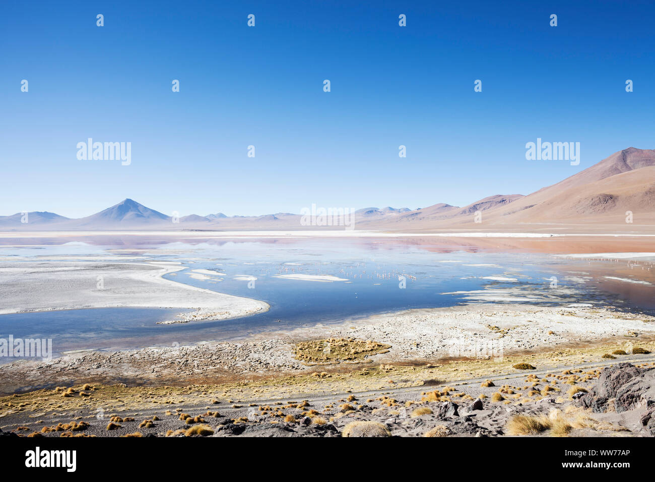 Bolivia, Eduardo Abaroa Andean Fauna National Reserve, landscape, lake ...