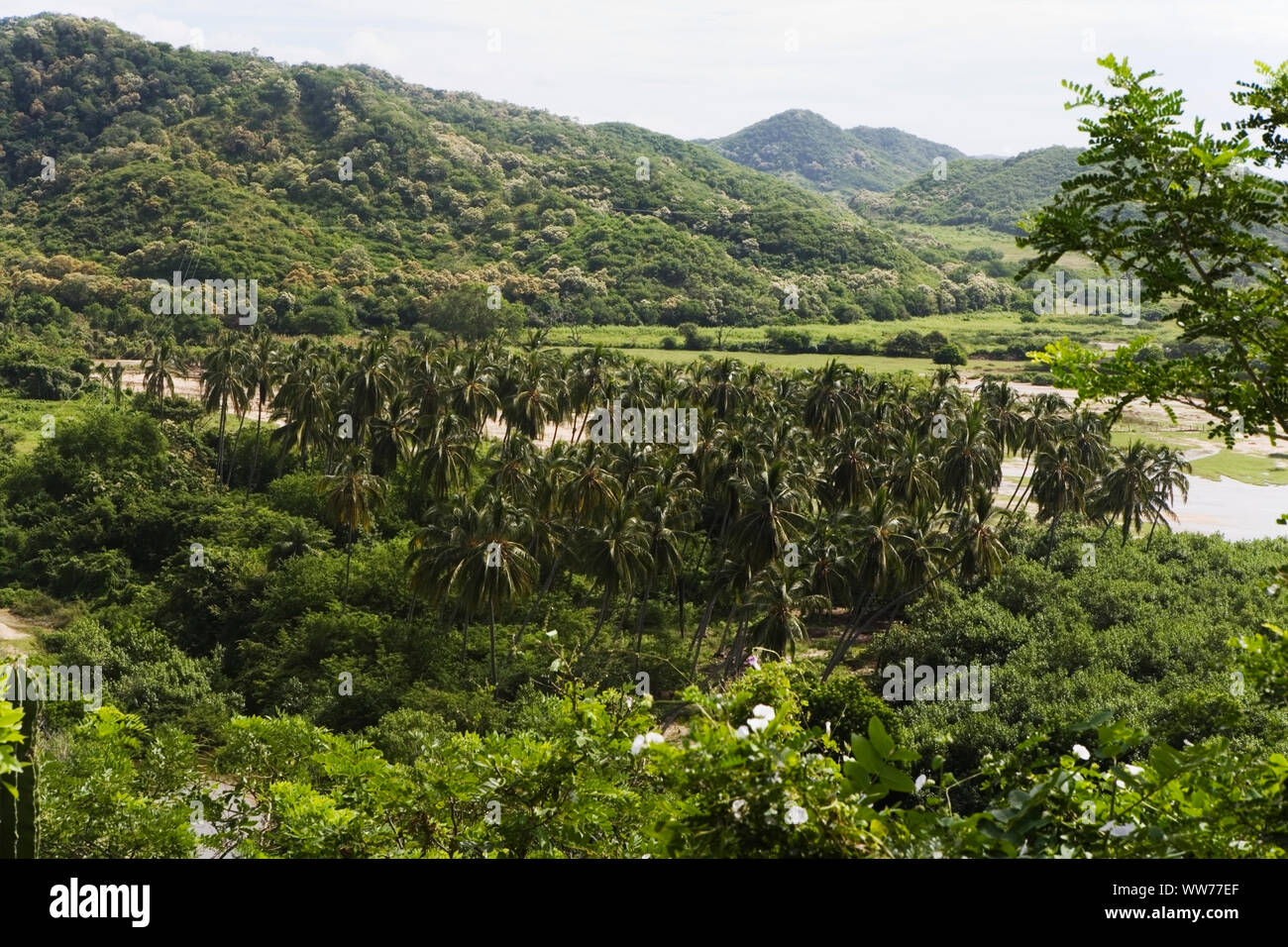 10972 hi-res stock photography and images - Alamy