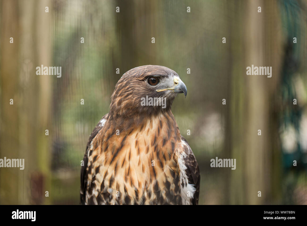 Moccasin lake park hi-res stock photography and images - Alamy