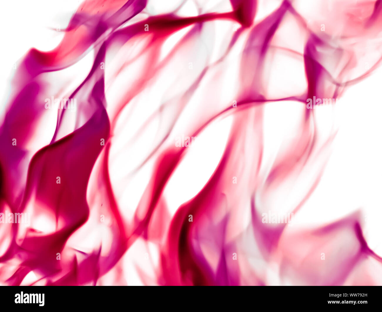Technology, science and artistic flow concept - Abstract wave ...