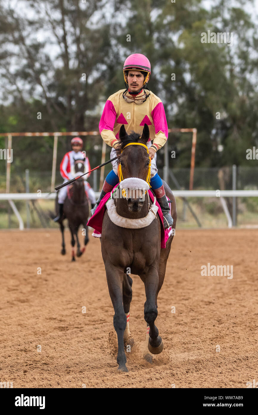 Horse racing at King Khlid Racetrack, Taif, Saudi Arabia 14/06/2019 ...