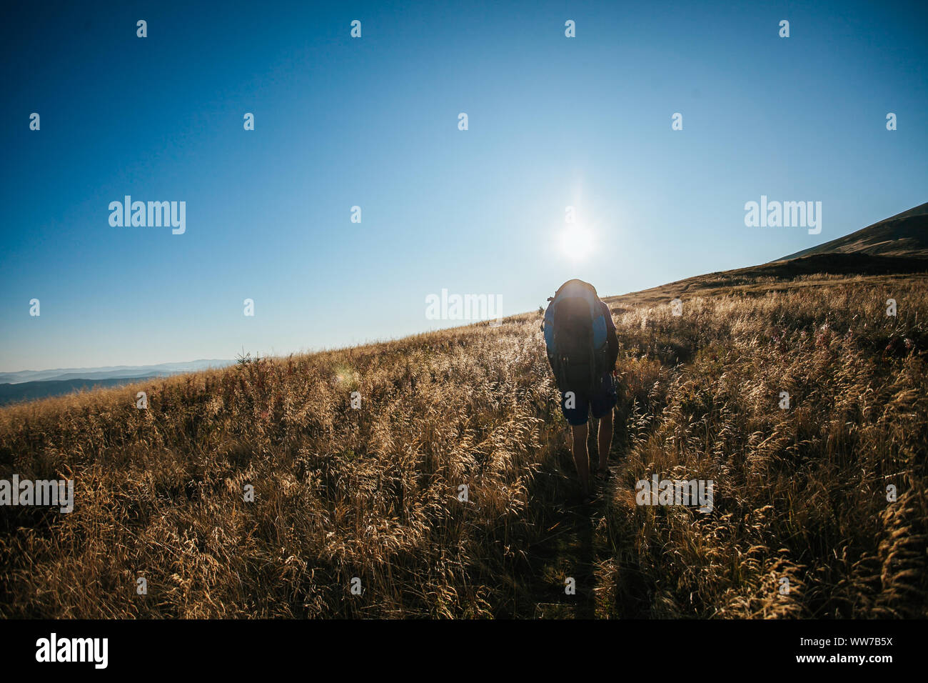 Man walking alone in field hi-res stock photography and images - Alamy