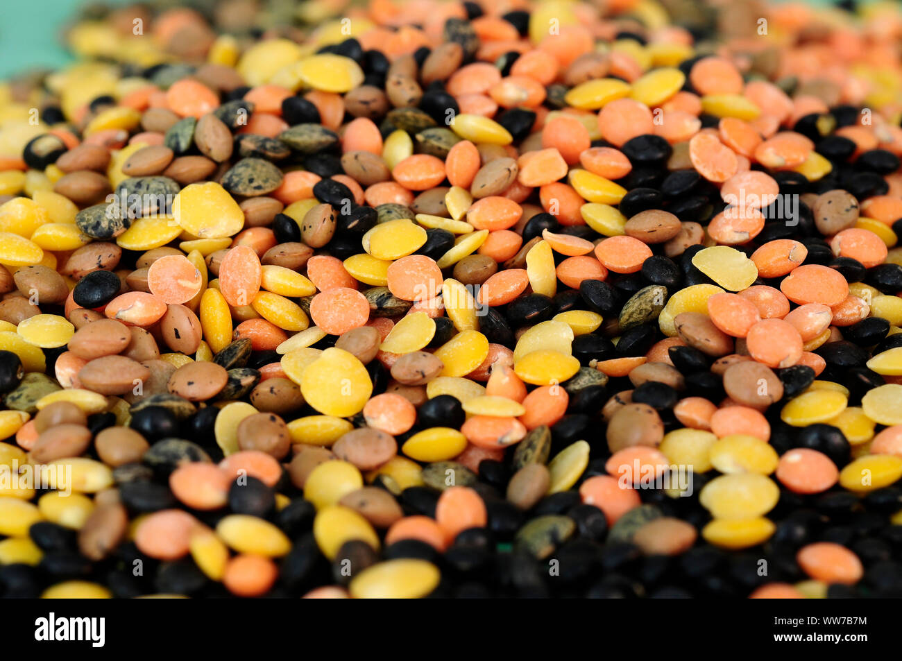 Lentils, various colours, green background, legumes Stock Photo - Alamy