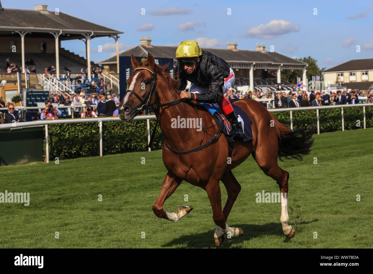 Doncaster cup stakes hi-res stock photography and images - Alamy