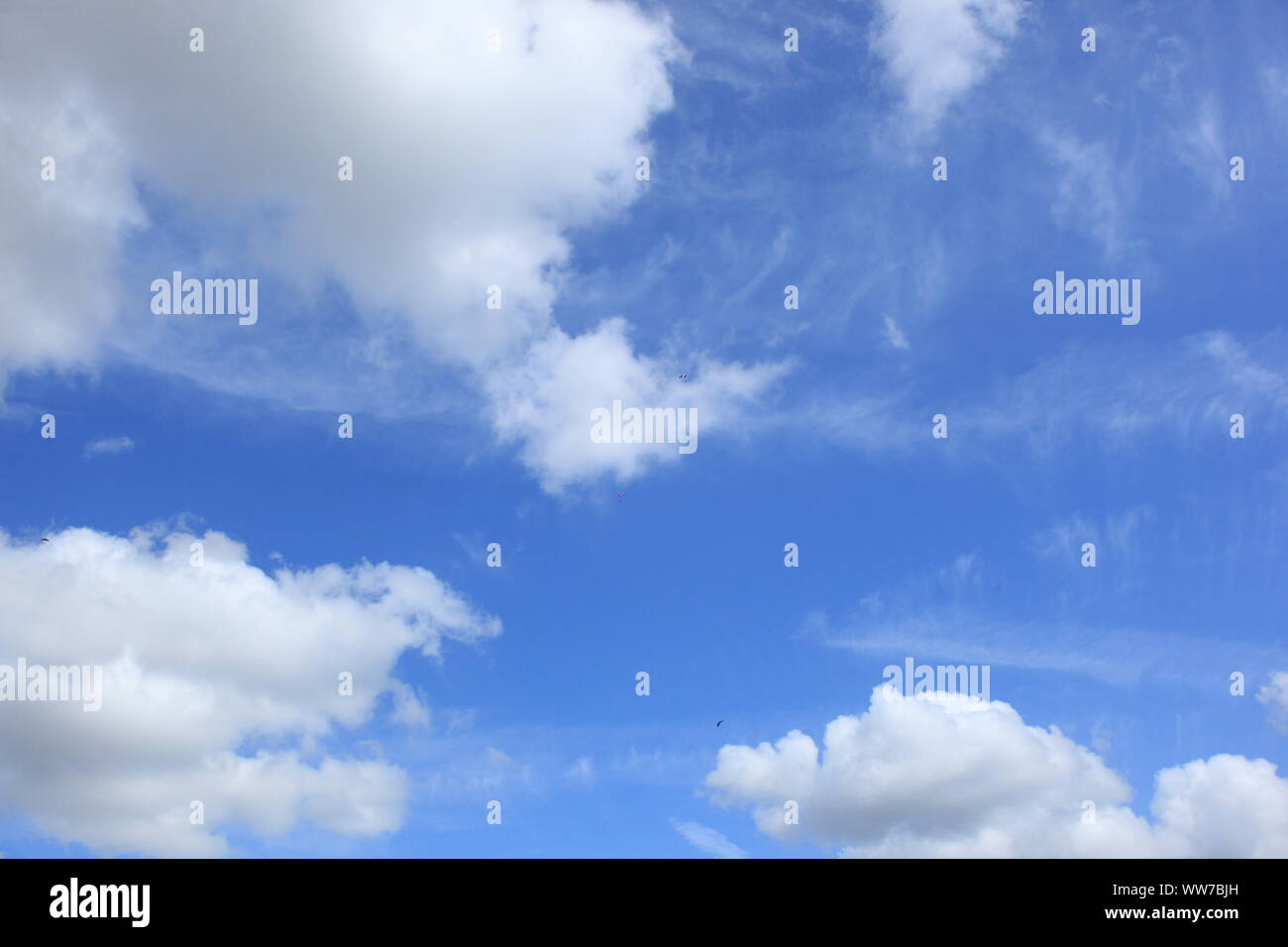 Skydivers with colourful parachutes descend over Headcorn, Kent, UK ...