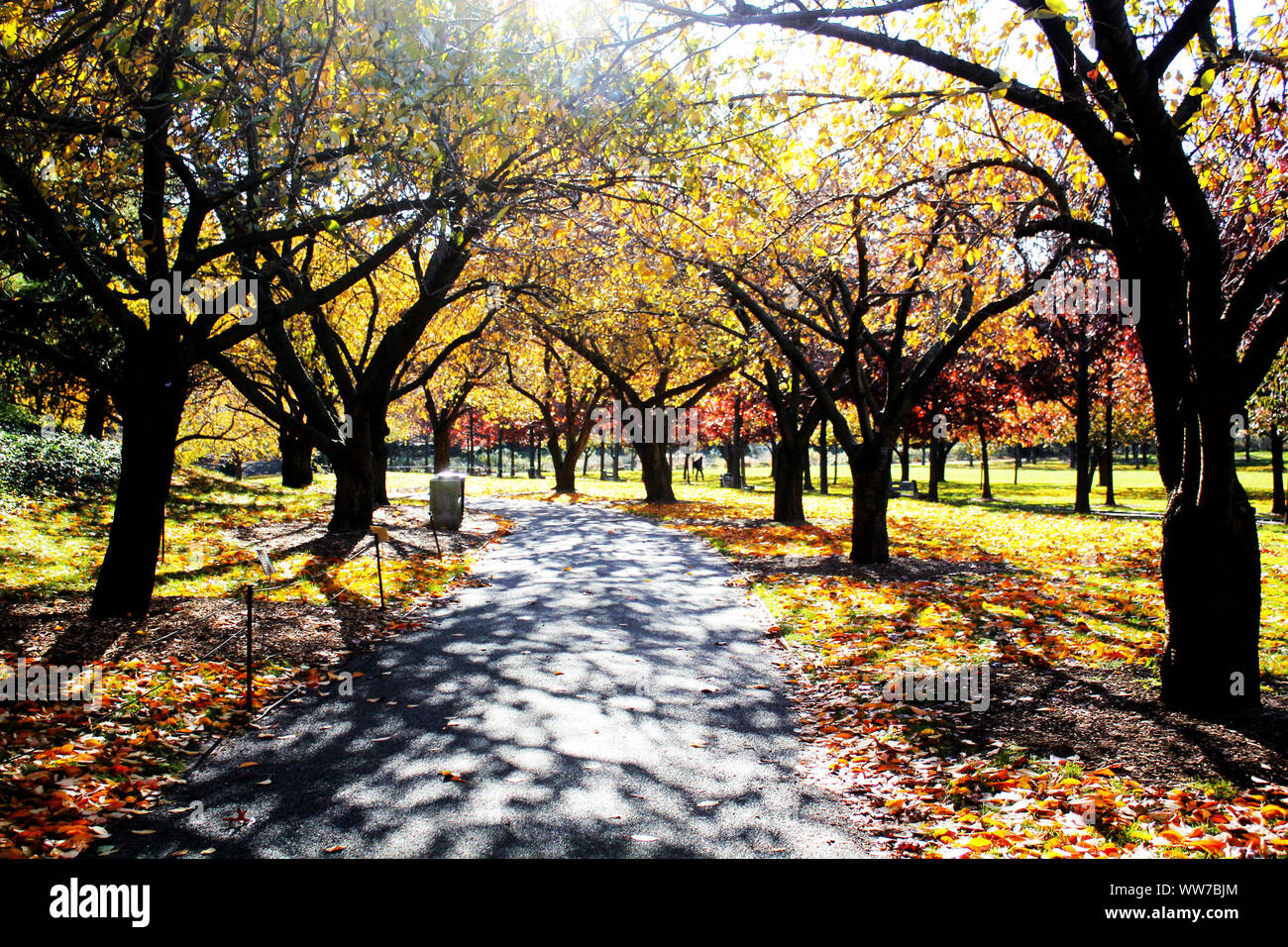 Autumn in Brooklyn Botanic Garden Stock Photo - Alamy