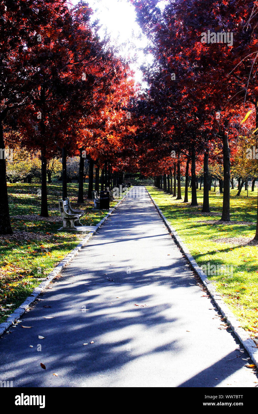Autumn in Brooklyn Botanic Garden Stock Photo - Alamy