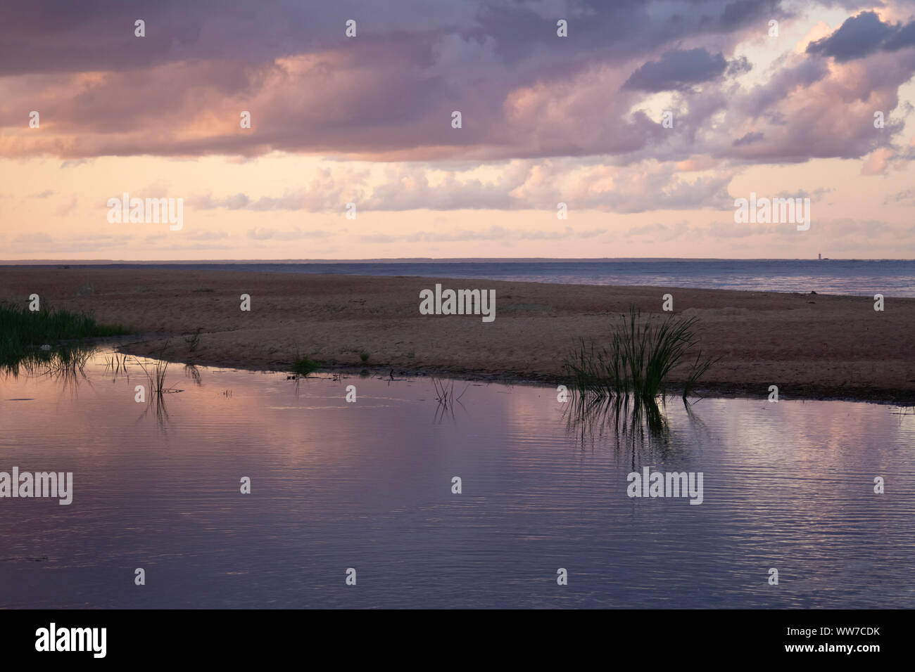 Violet-blue sunset by the sea on a summer evening Stock Photo - Alamy