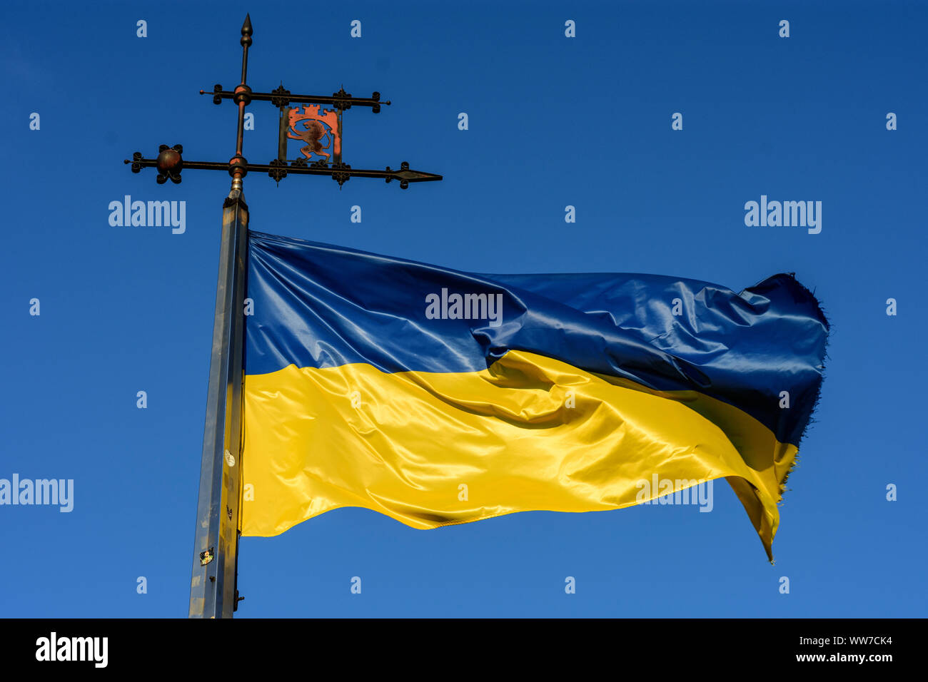 Flag in lviv hi-res stock photography and images - Alamy