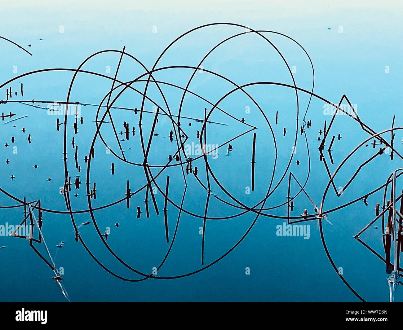 Water reflection, reed, bow, timeless, silence Stock Photo - Alamy