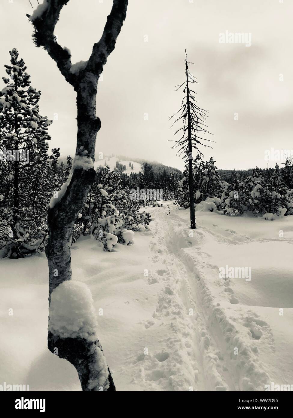 Broken through snow hi-res stock photography and images - Alamy