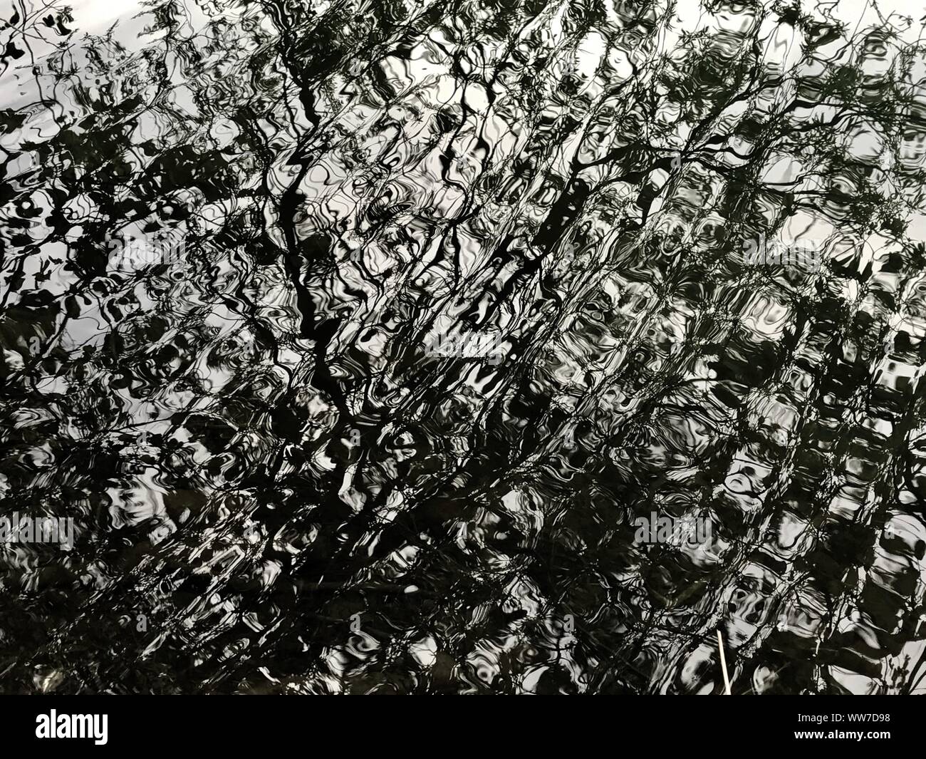 water mirroring, restless water surface Stock Photo - Alamy