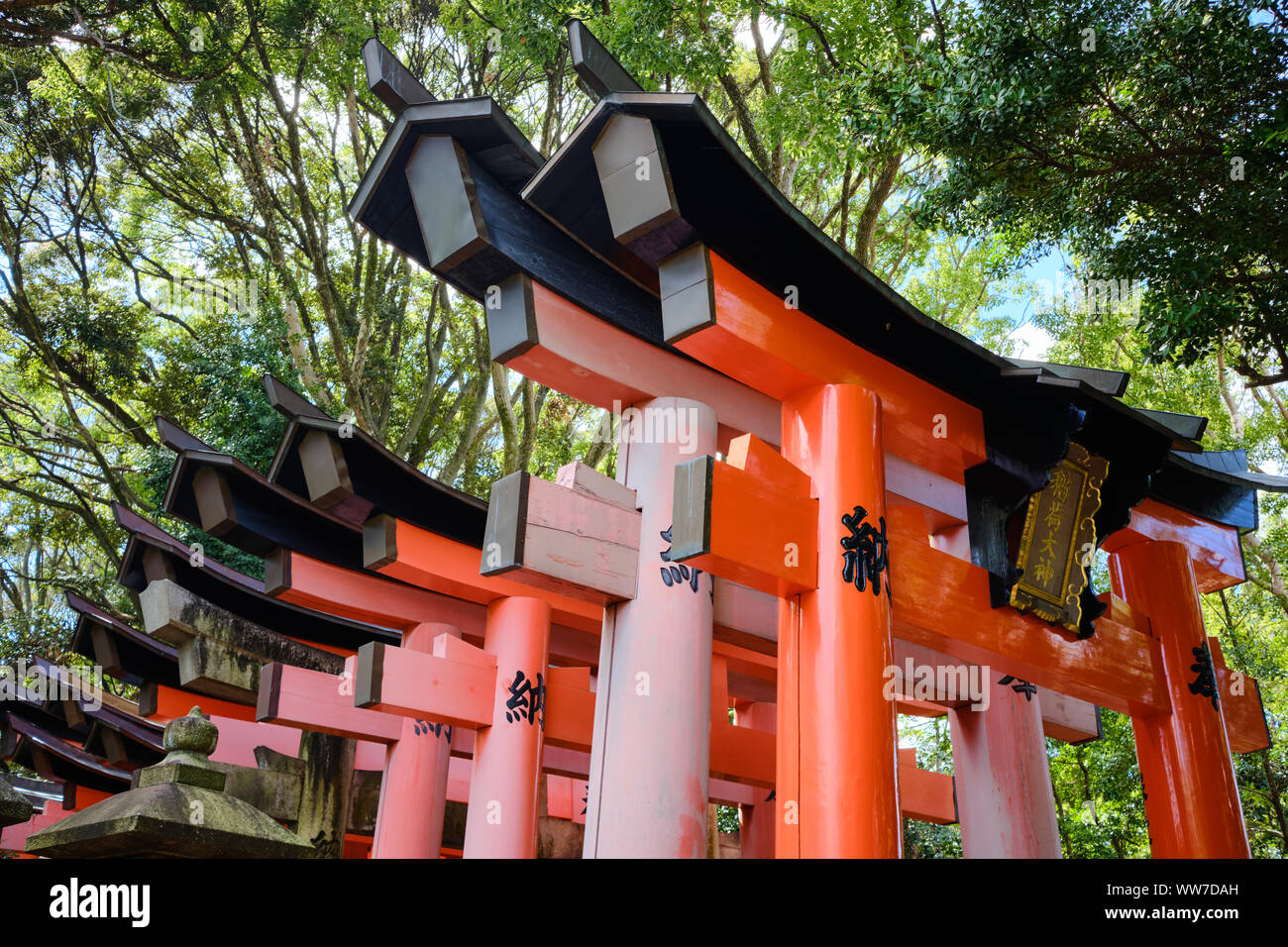 Kyoto / Japan - August 7th 2019: The many vermillion Torii gates of ...