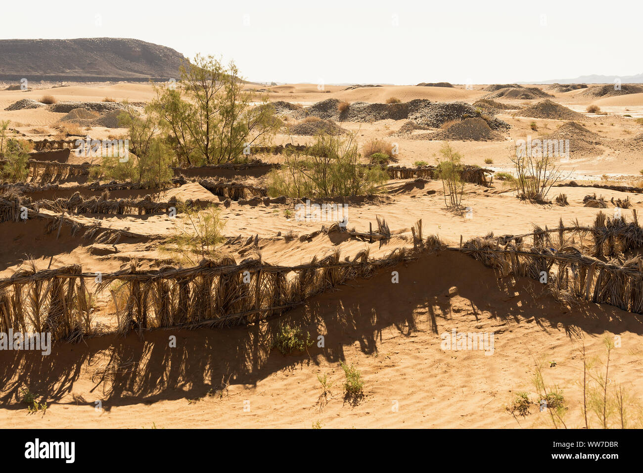 Morocco, High Atlas, High plateau, desert, sand fences, protection from ...