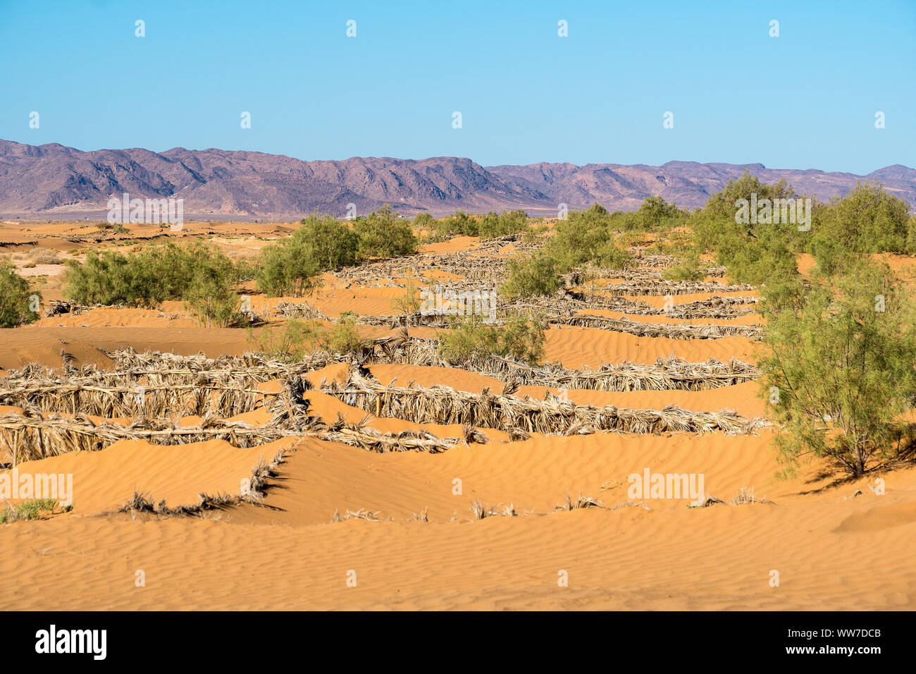 Morocco, High Atlas, High plateau, desert, sand fences, protection from ...