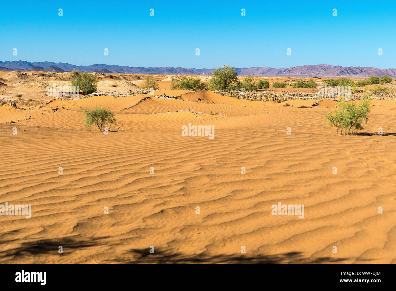Protection from sand drift hi-res stock photography and images - Alamy