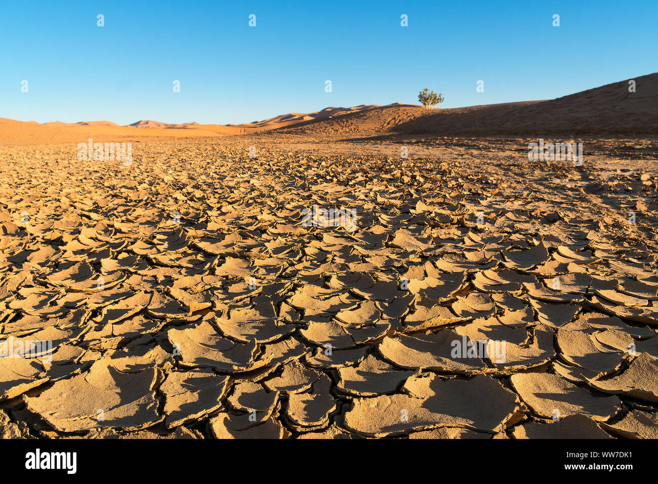 Symbolic drought and famine hi-res stock photography and images - Alamy