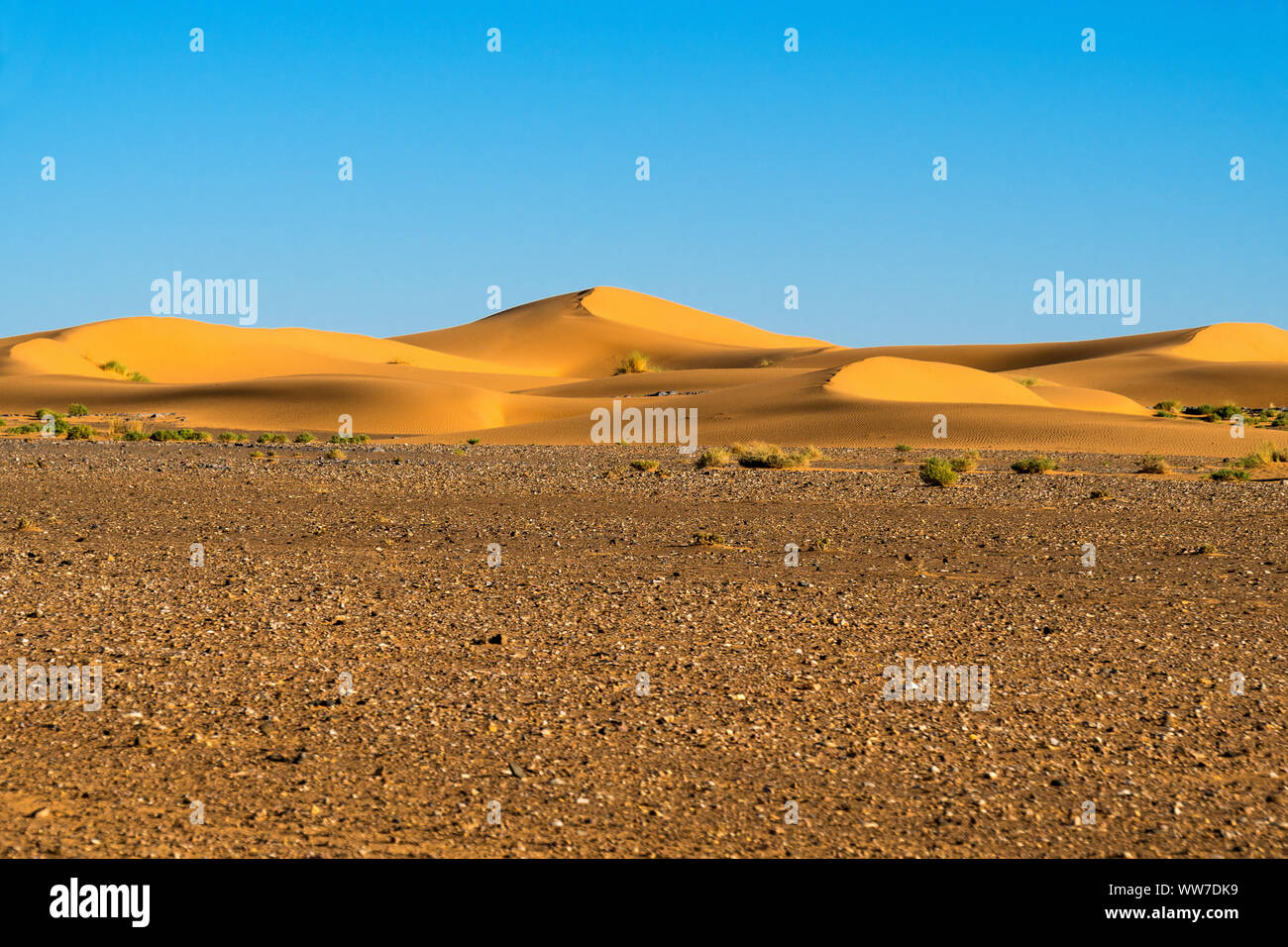 Morocco sahara border hi-res stock photography and images - Alamy