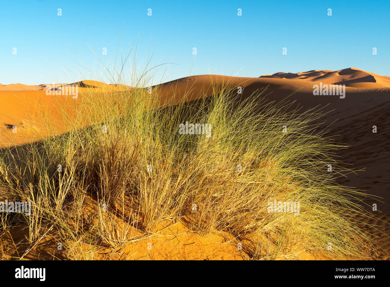 Sahara Desert From Space High Resolution Stock Photography and Images ...