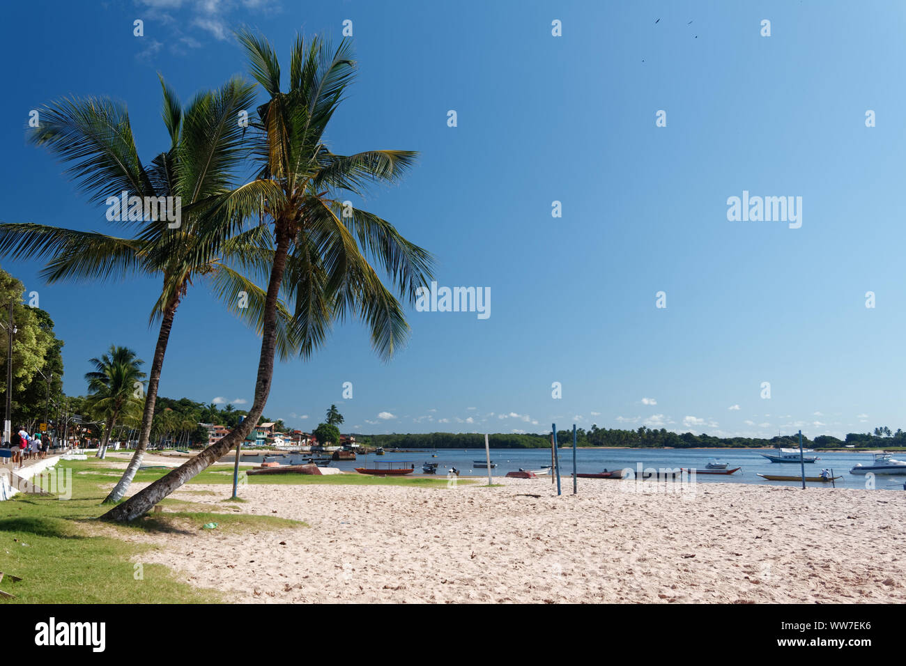 Tropical beach in Brazil Stock Photo - Alamy