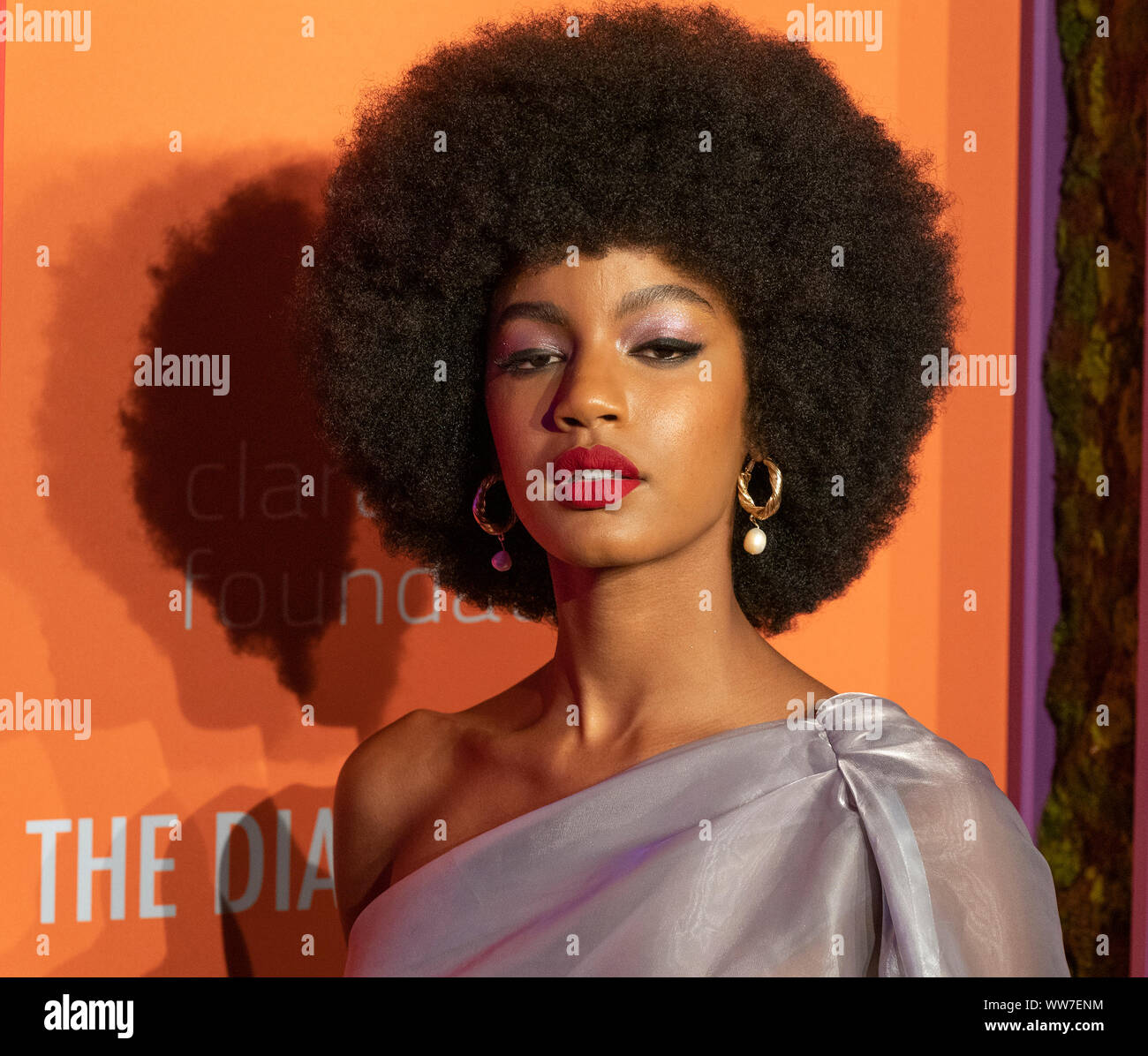Ebonee Davis attends 5th Annual Diamond Ball benefiting the Clara ...