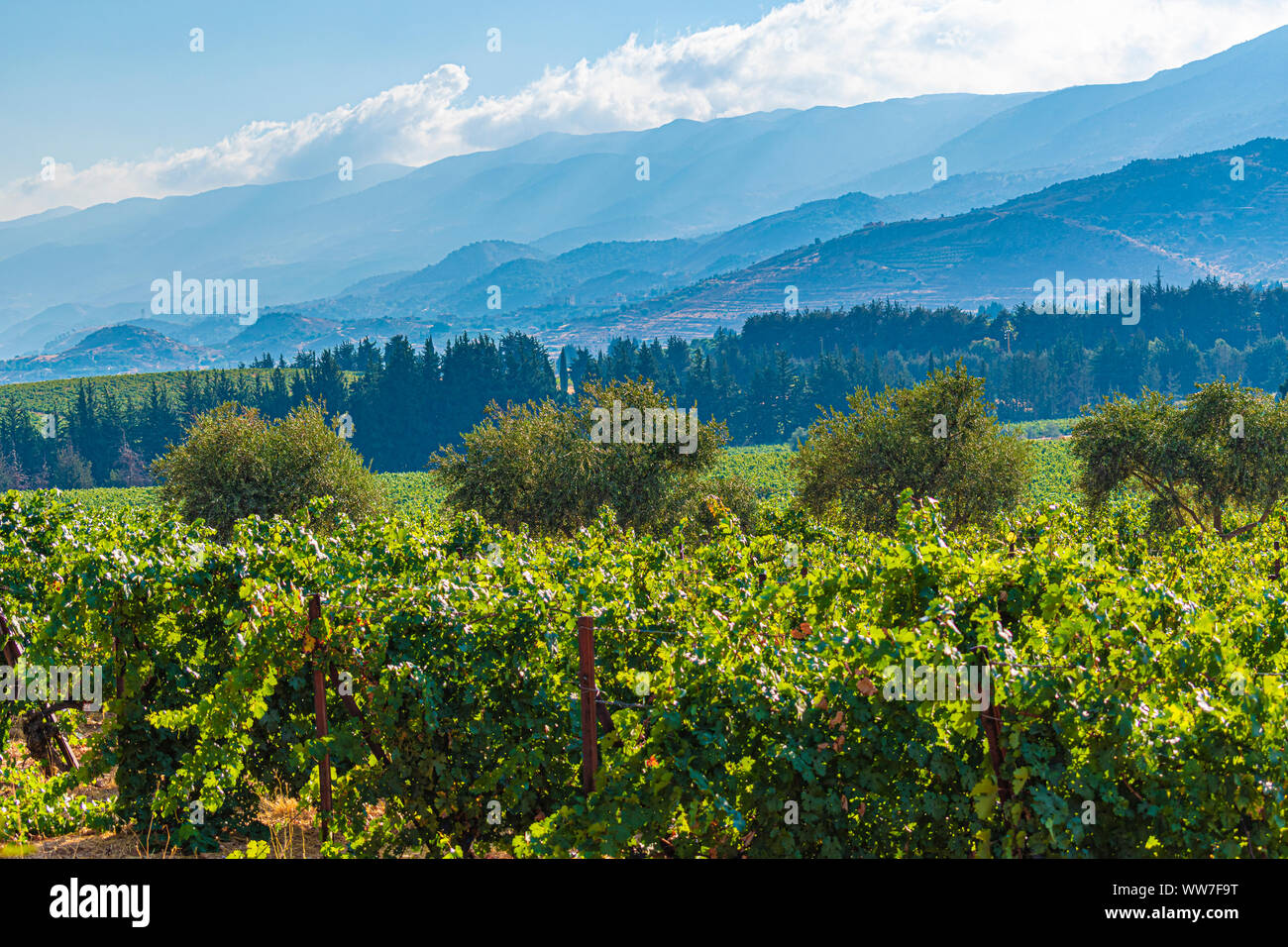 Overlooking the magical Bekaa Valley Stock Photo - Alamy