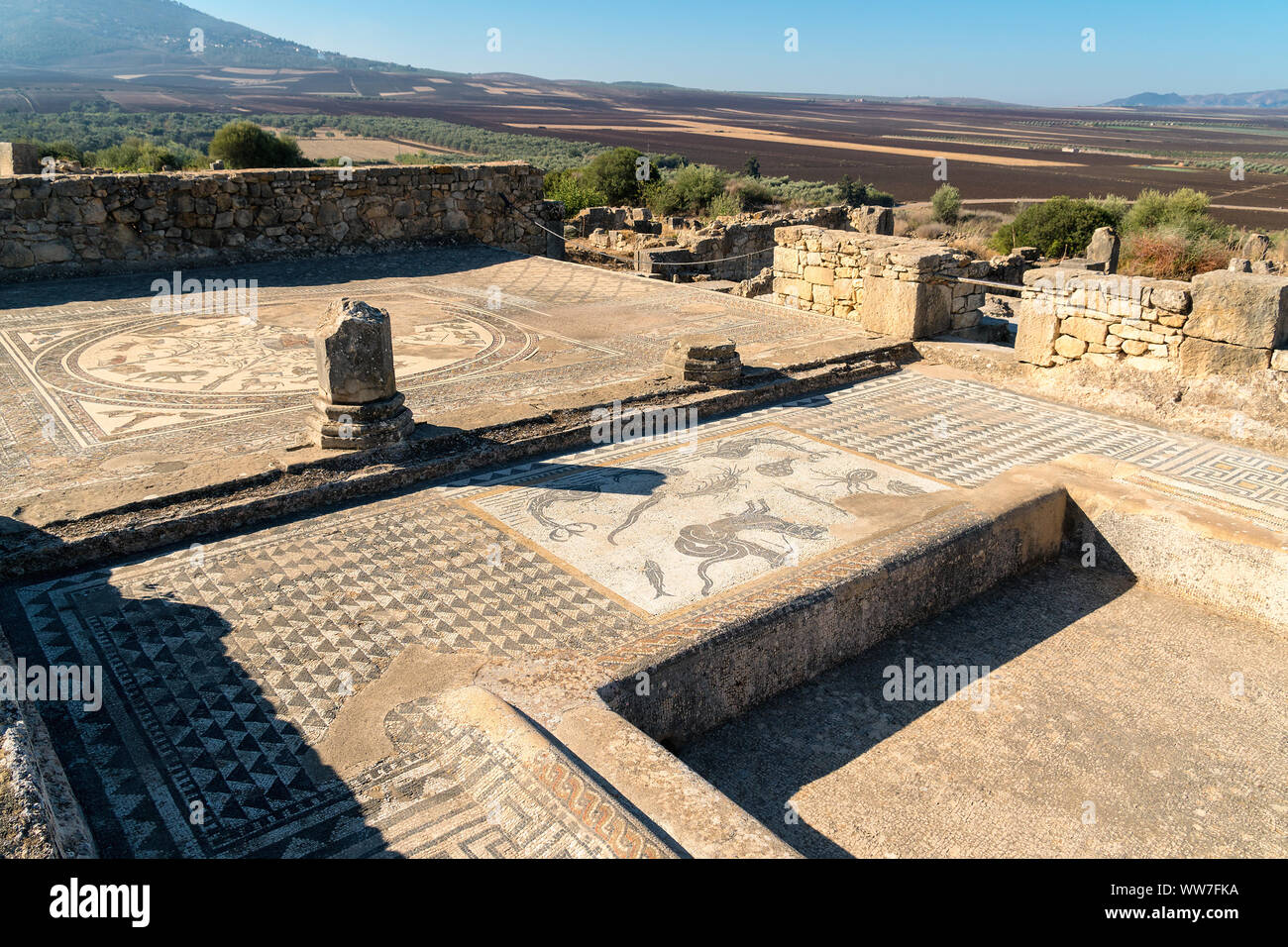 Morocco, Volubilis, ancient Roman excavations, mosaic Stock Photo - Alamy