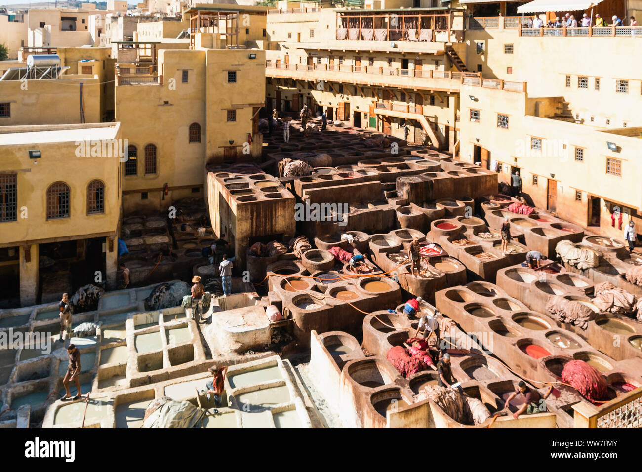 Morocco, Fez, Medina, Souk, Blida, district of the tanners, color vats ...