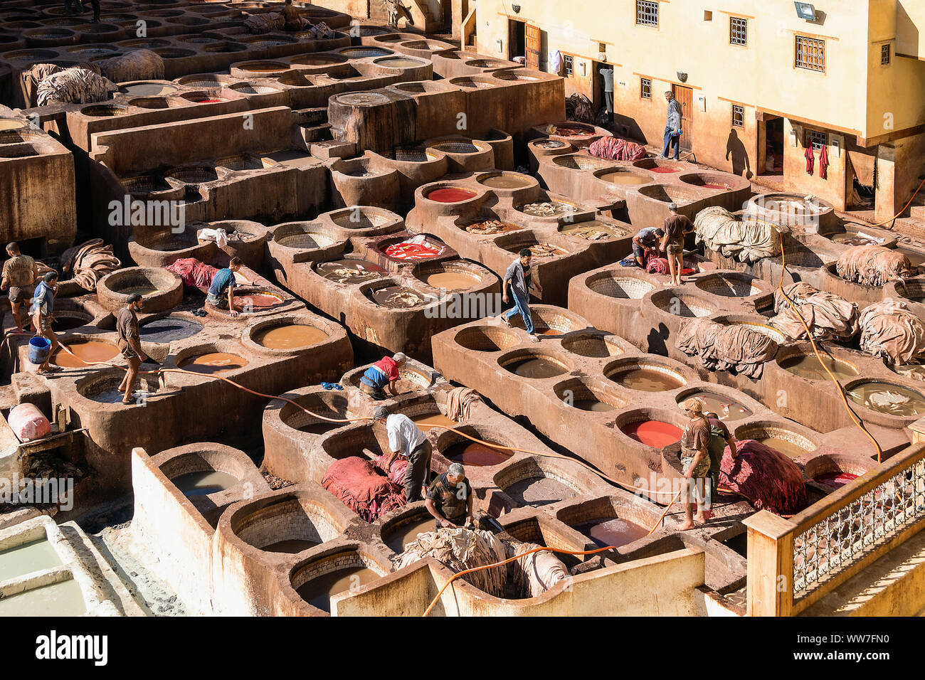 Morocco, Fez, Medina, Souk, Gerber, Color vats with natural colors ...