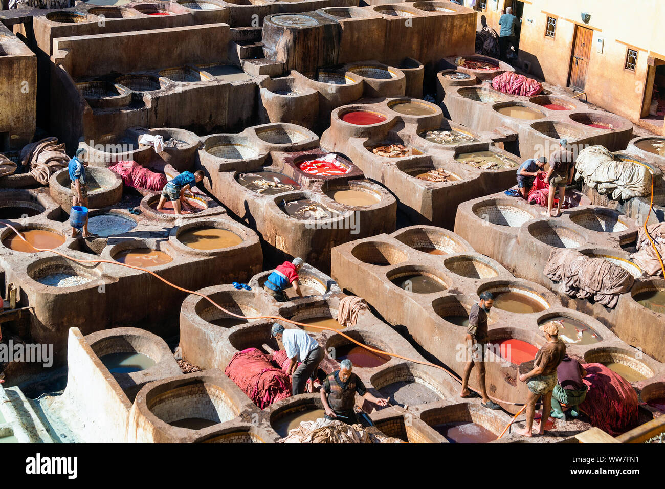 Morocco, Fez, Medina, Souk, Blida, district of the tanners, color vats ...