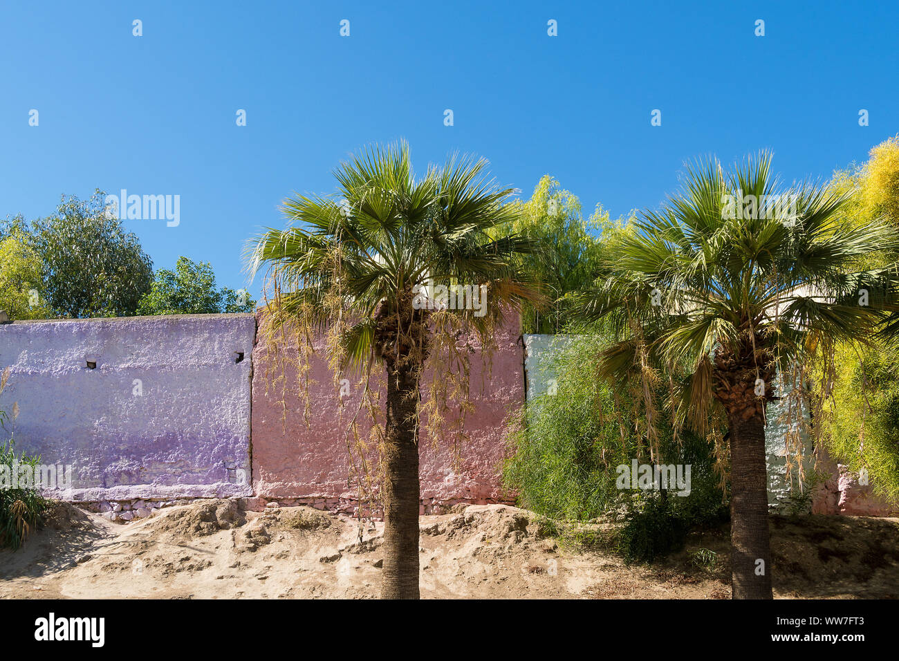 Morocco, Fez, wall, palm trees Stock Photo - Alamy