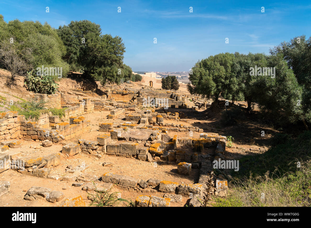 Morocco, Rabat, Chellah necropolis, Roman foundations Stock Photo - Alamy
