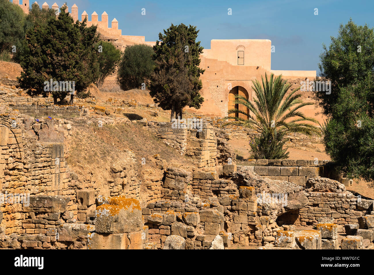 Morocco, Rabat, Chellah necropolis, Roman foundations Stock Photo - Alamy