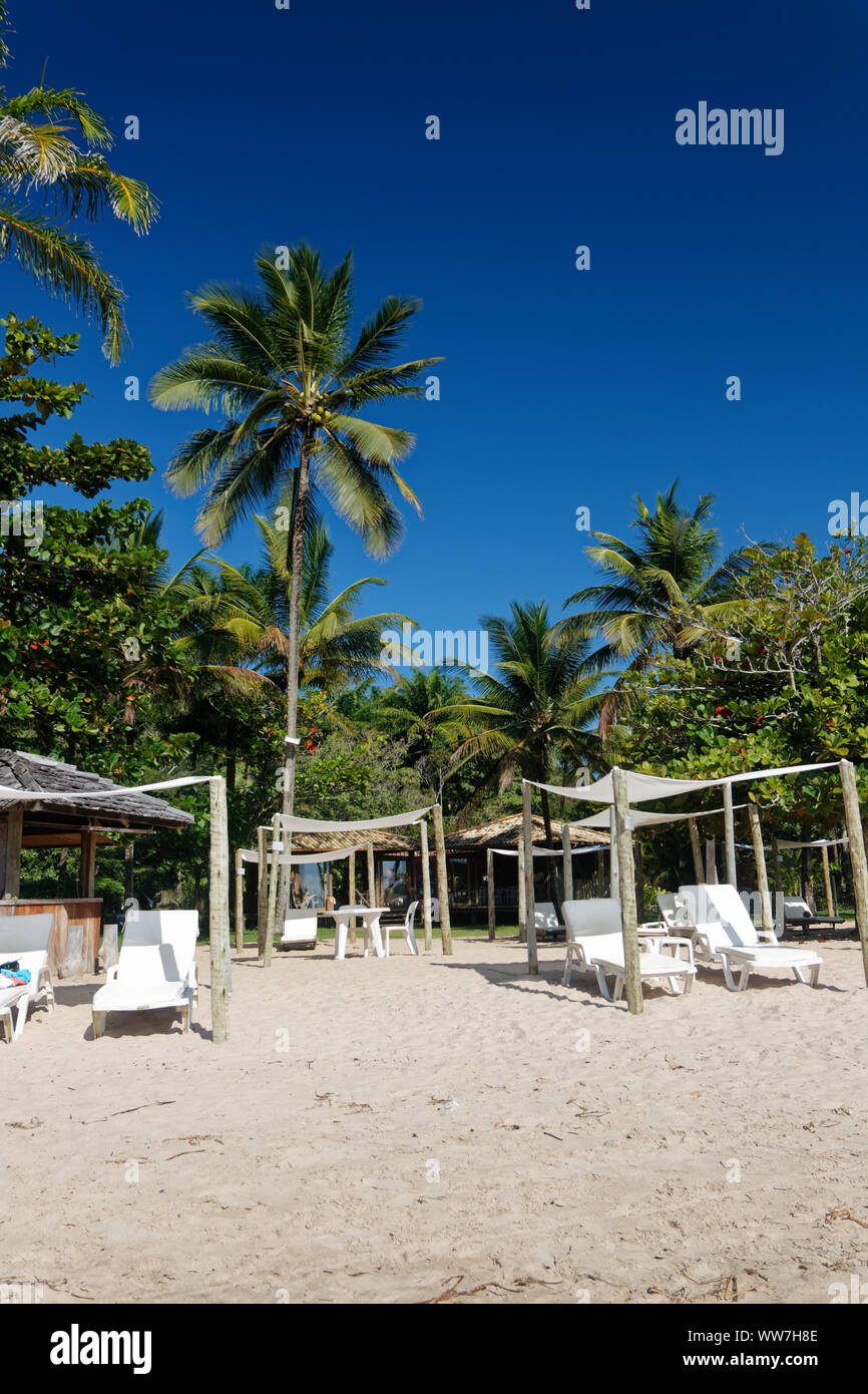 Tropical beach in Brazil Stock Photo - Alamy