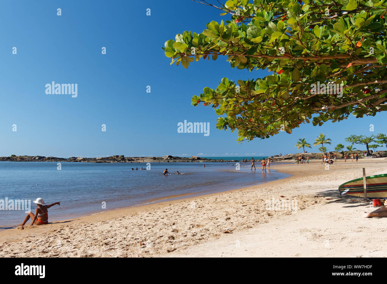 Tropical beach in Brazil Stock Photo - Alamy